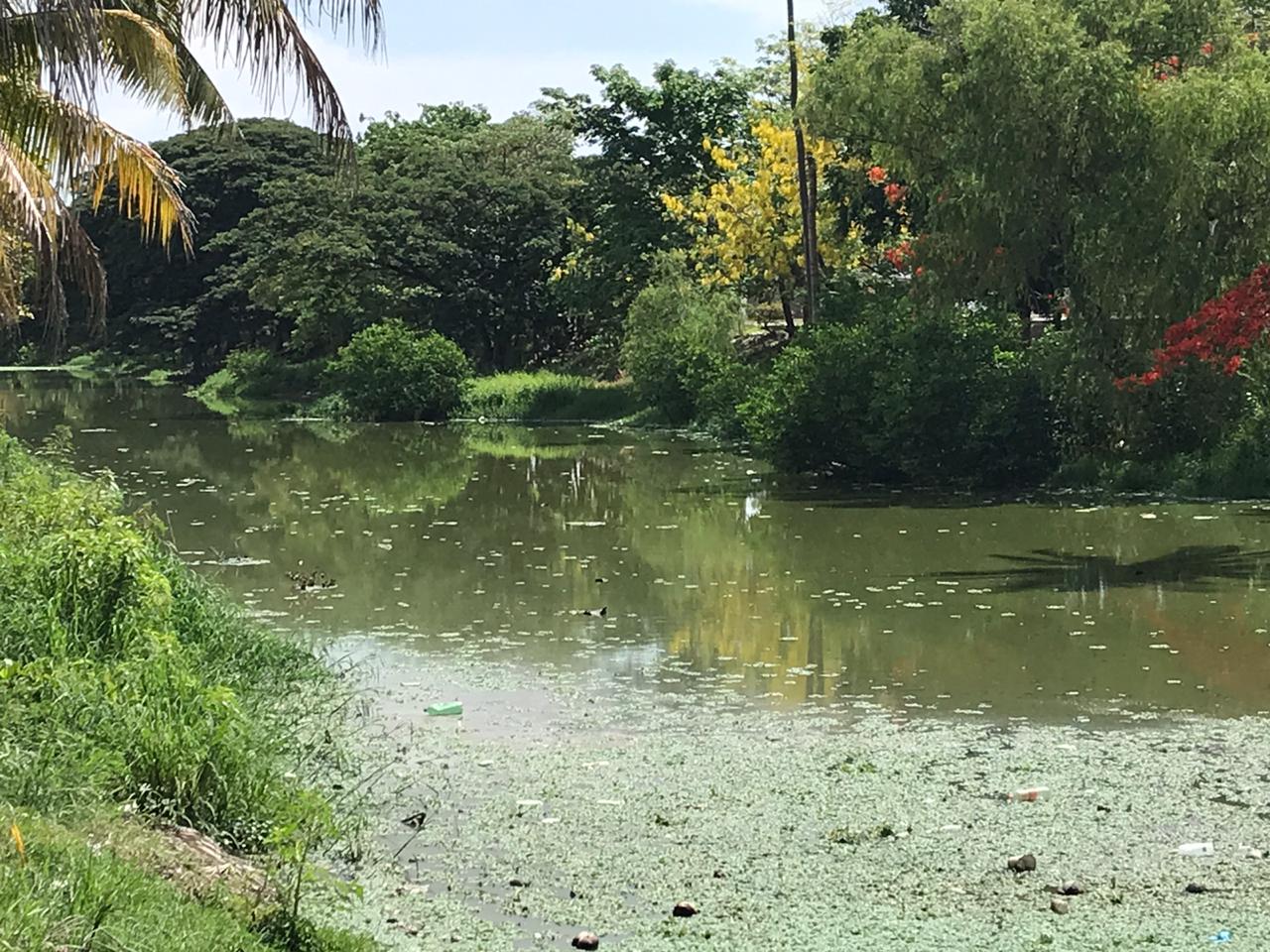 Río Seco es más bien un afluente de pestilencia