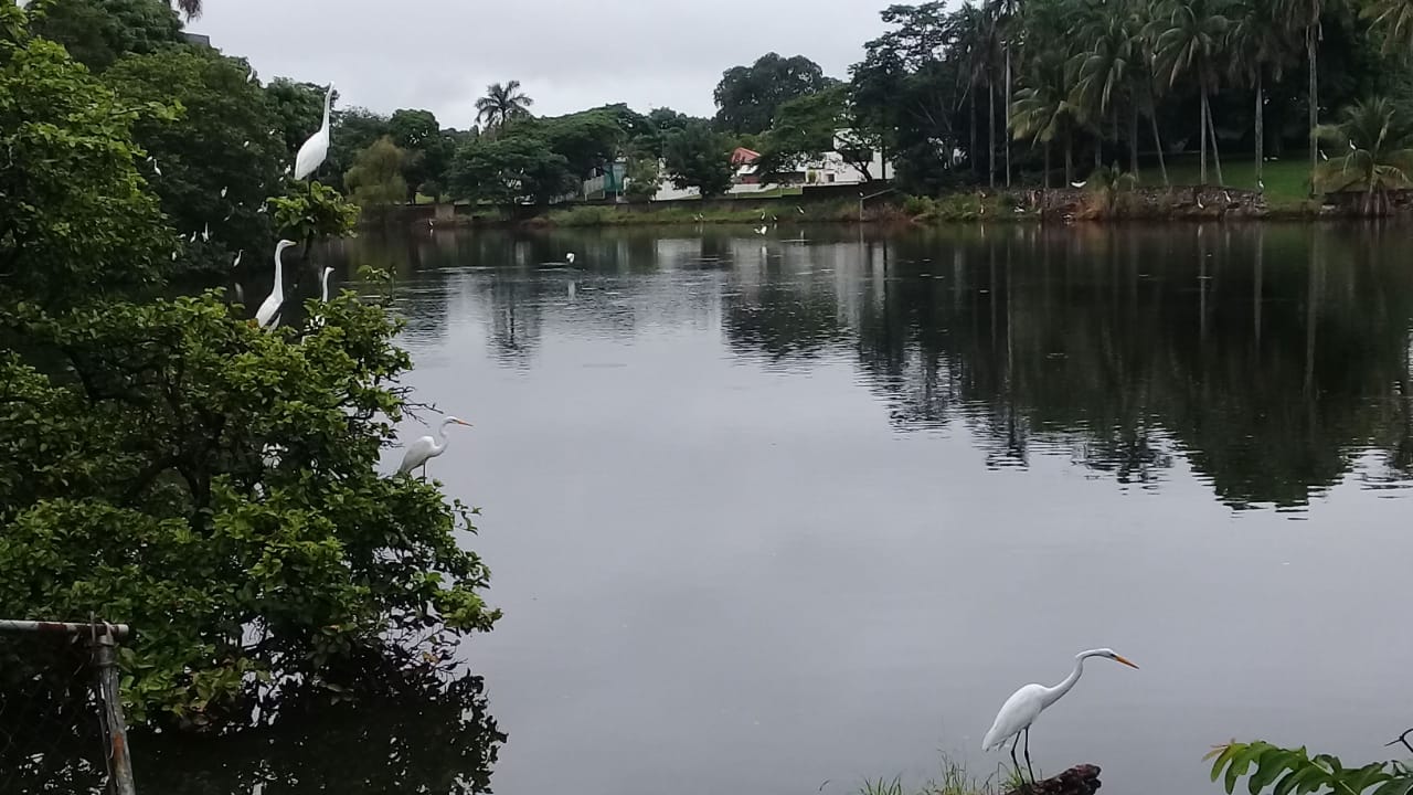 Inicia decreto protector de la Laguna de las Ilusiones