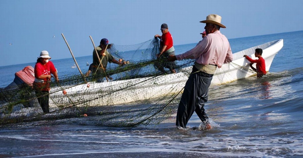 Cae 45.8% la pesca en tres años