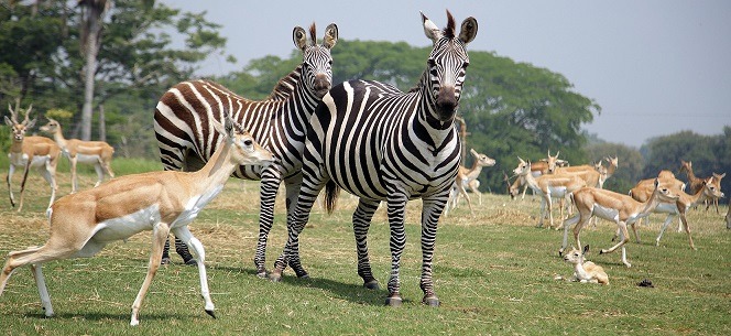 Yumká, la atracción más visitada en vacaciones