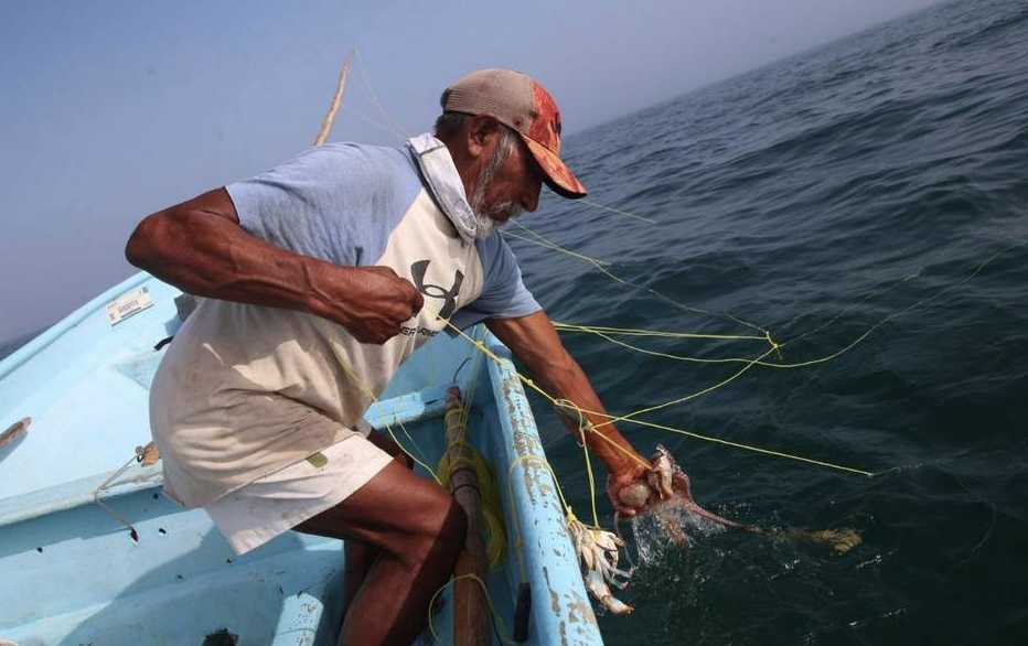 Activa Conapesca vedas en el Golfo de México