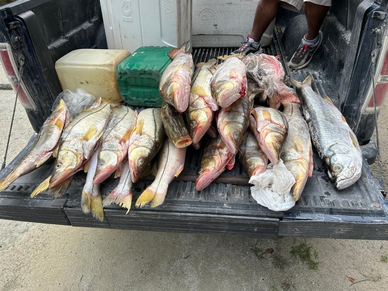 Conapesca fortalece el combate a la pesca ilegal