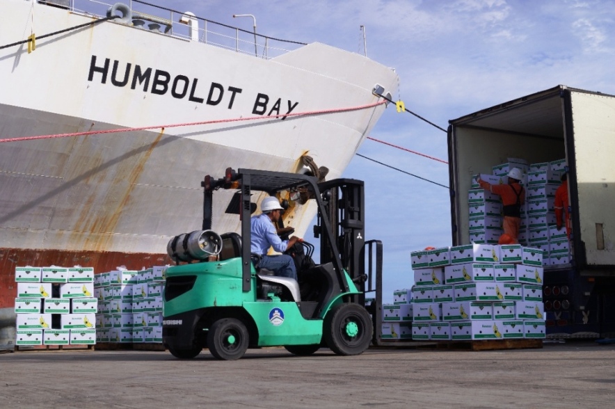 Repuntan 3.5% exportaciones en estados del sur sureste – Novedades de ...
