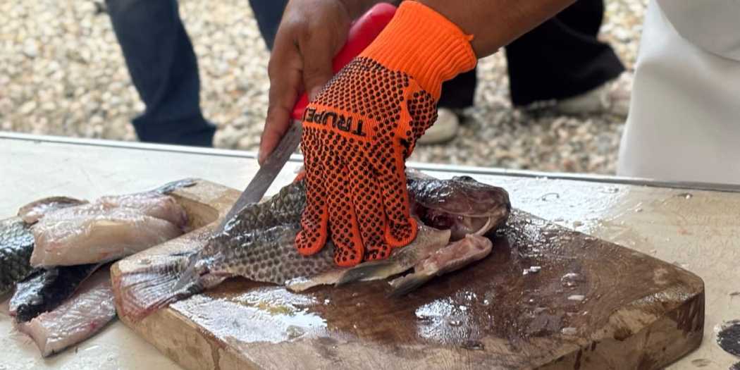 Columna: El Rincón del Chef – Novedades de Tabasco